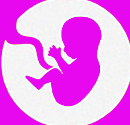 BitLife - Life Simulator Unblocked Games Premium | Play Online